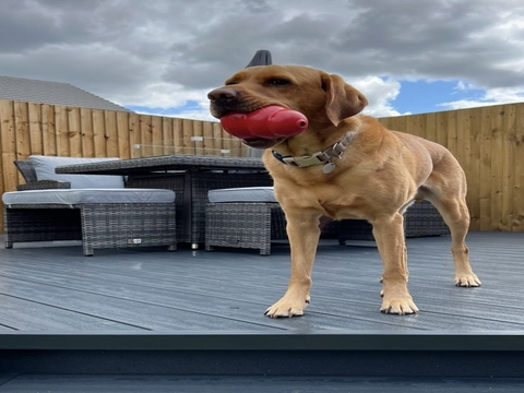 The Garden At A Cheshire Home Gets The Lakeland Look